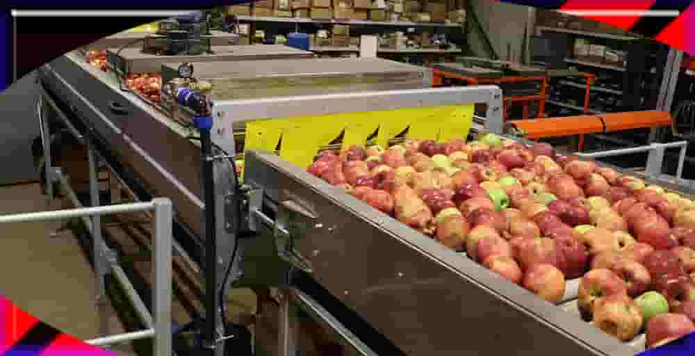 Яблочная линия | Обработка плодовой продукции для продажи